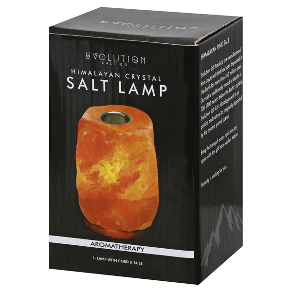 Evolution Salt Co. Himalayan Crystal Salt Lamp, Aromatherapy | Hy-Vee ...