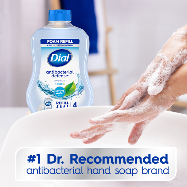 Dial Spring Water Scent Hand Wash + Aloe | Hy-Vee Aisles Online Grocery ...